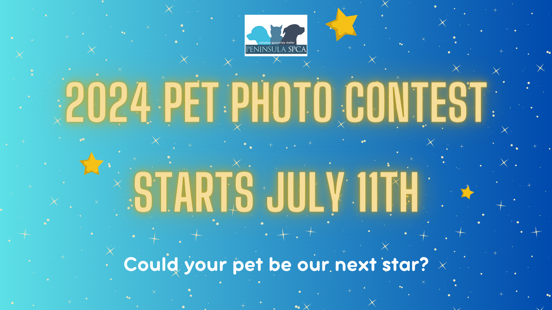 2024-Calendar-Contest-teaser